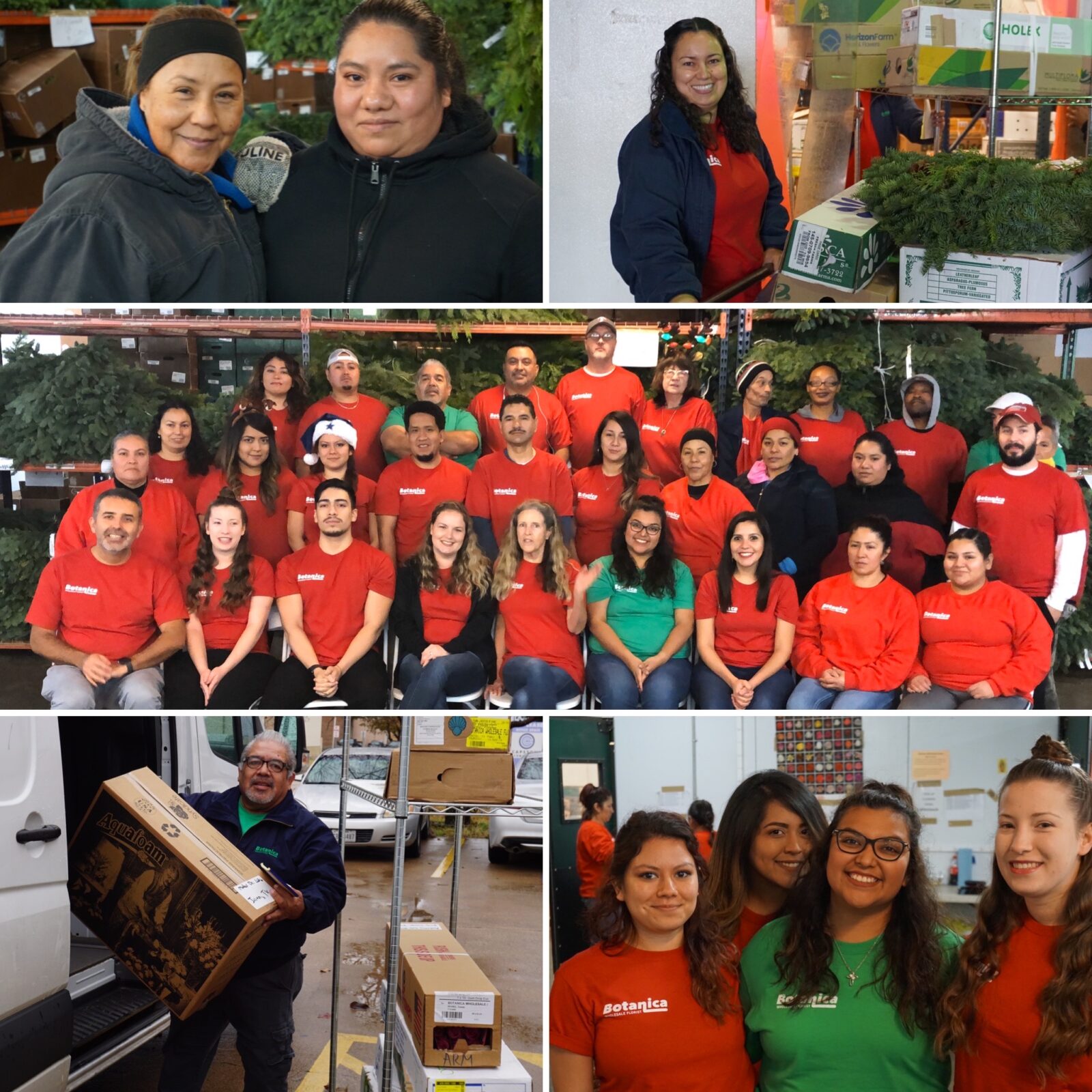 About Us – Botanica Wholesale Florist